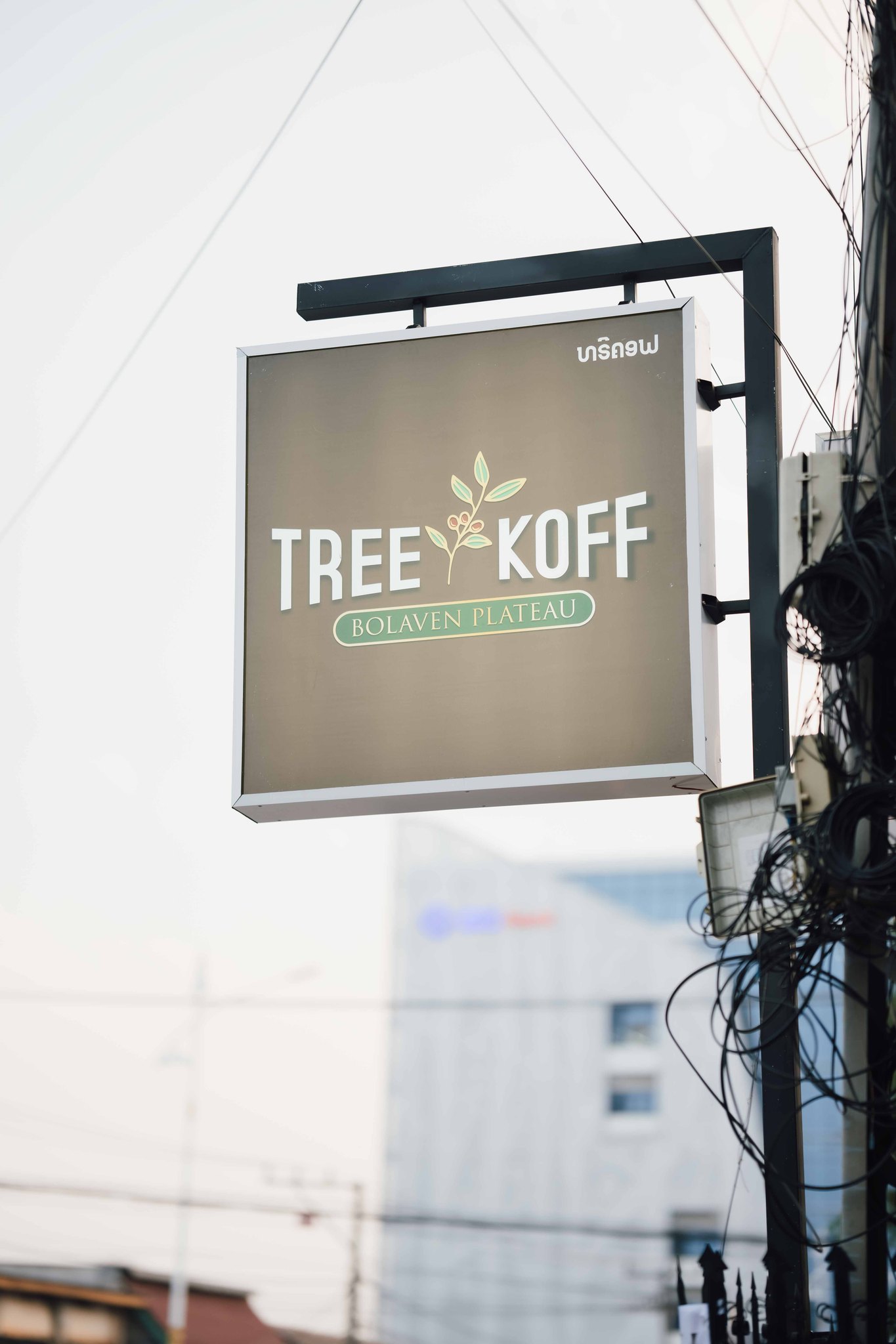 TREEKOFF - FRANCHISE